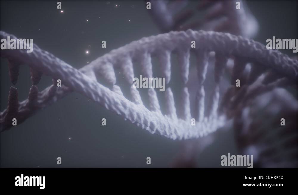 double helical structure of dna strand close-up animation Stock Video ...