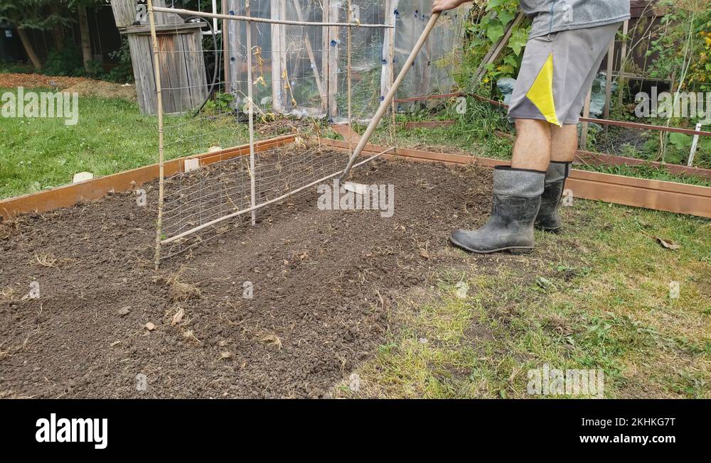 Vegetable seeds man Stock Videos & Footage - HD and 4K Video Clips - Alamy