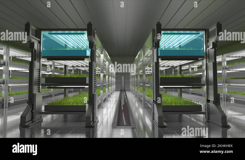 AI robot cultivates a plant factory with typo 'SMART FARM' UI, 4k ...