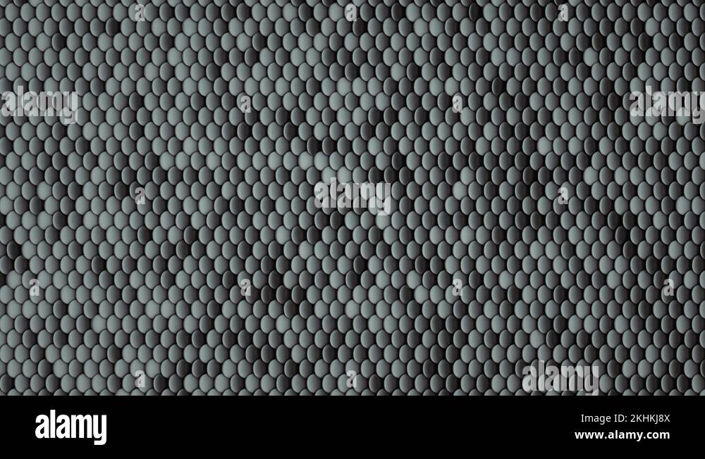 3d render snake Stock Videos & Footage - HD and 4K Video Clips - Alamy