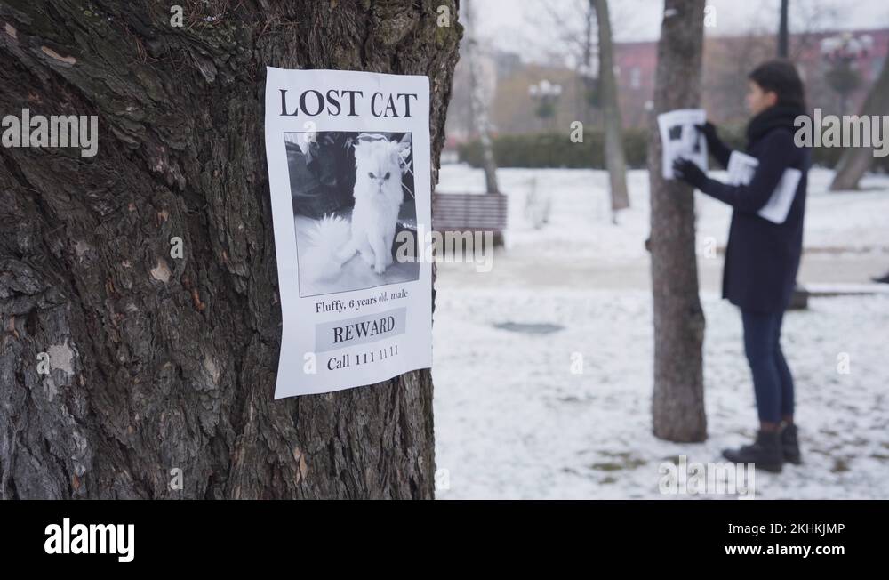 Missing advertisement Stock Videos & Footage - HD and 4K Video Clips ...