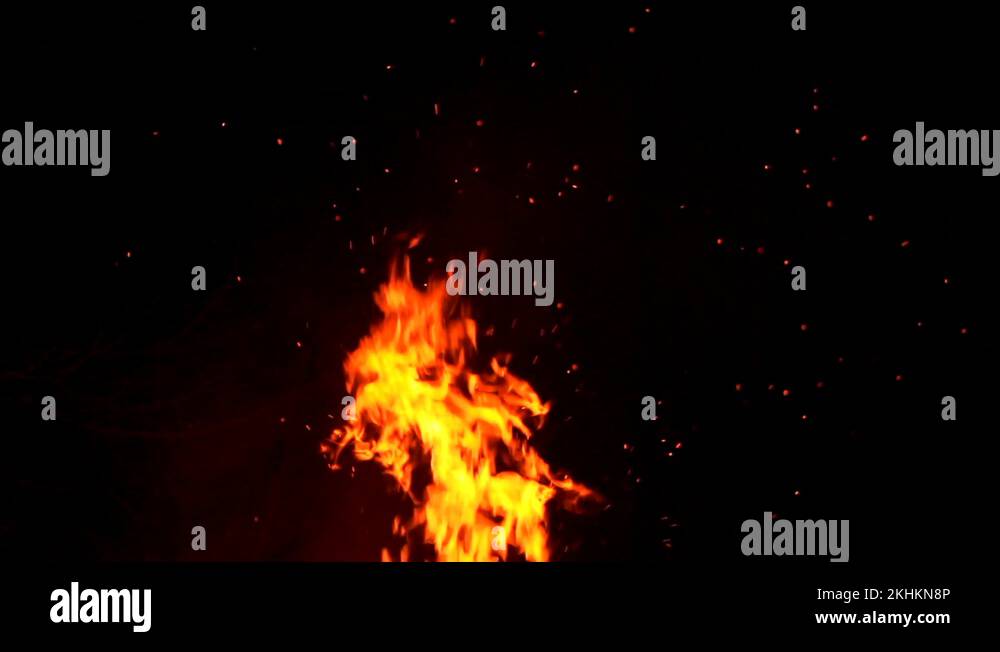 Forest fires, Burning fire. Big Fire flames with flying sparks ...