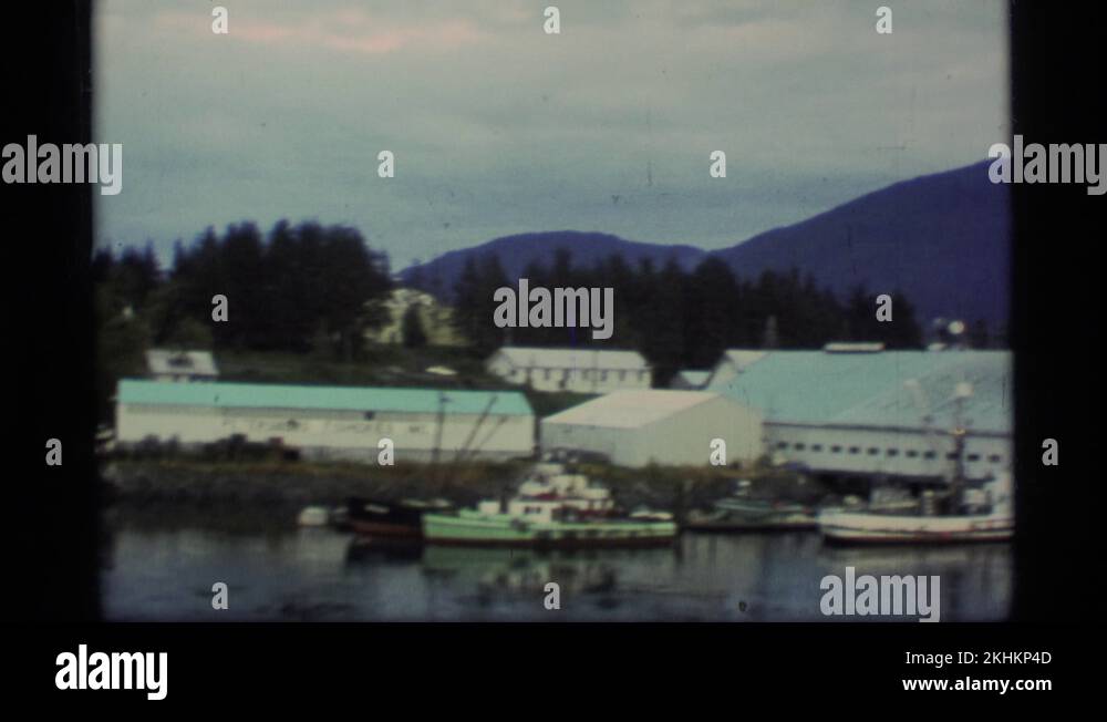 ALASKA USA-1977: In This Tiny Port Town There Are So Many Birds And ...