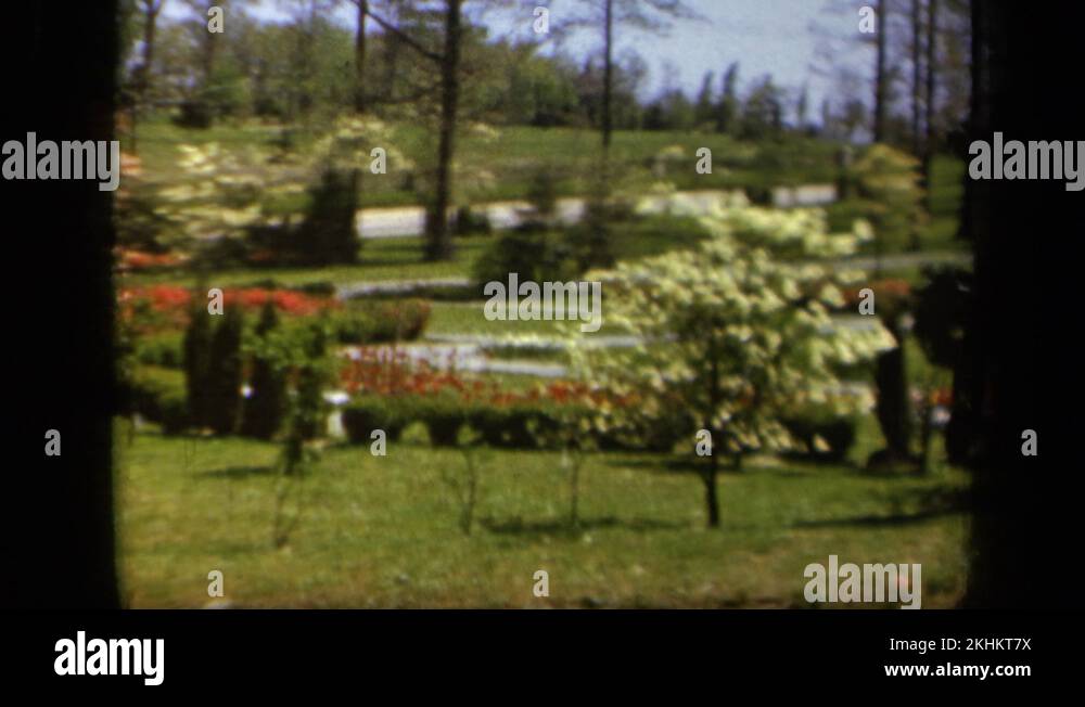BALTIMORE MARYLAND USA-1943: Panning Video Of A Garden With Red And ...