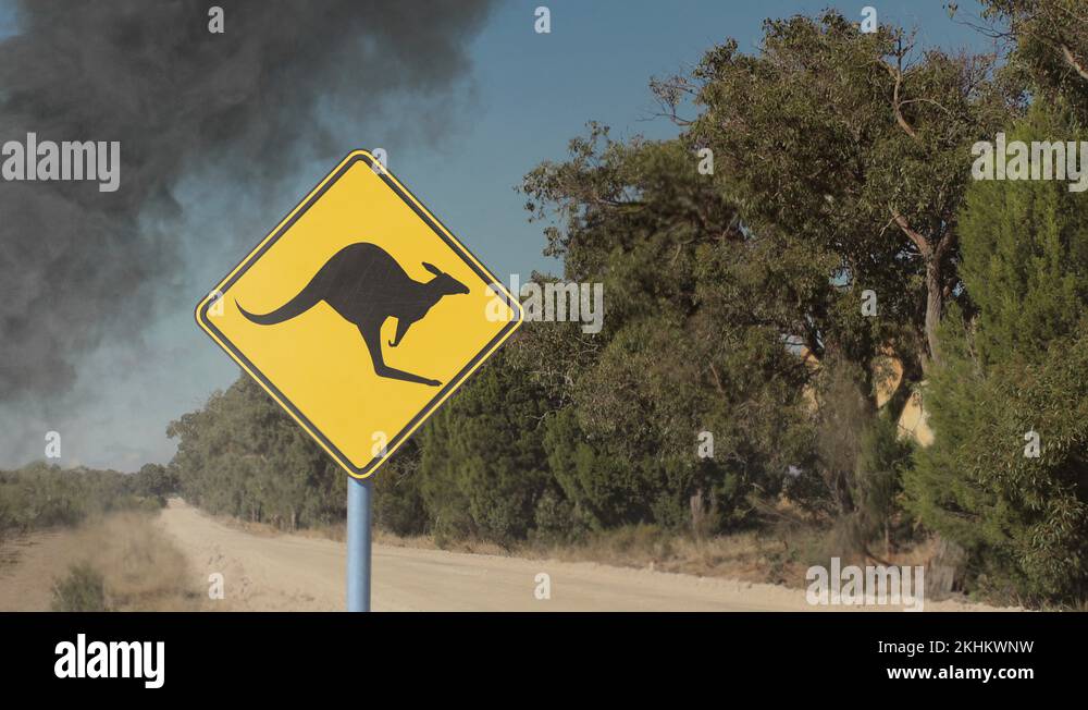 Australian bushfire Stock Videos & Footage - HD and 4K Video Clips - Alamy