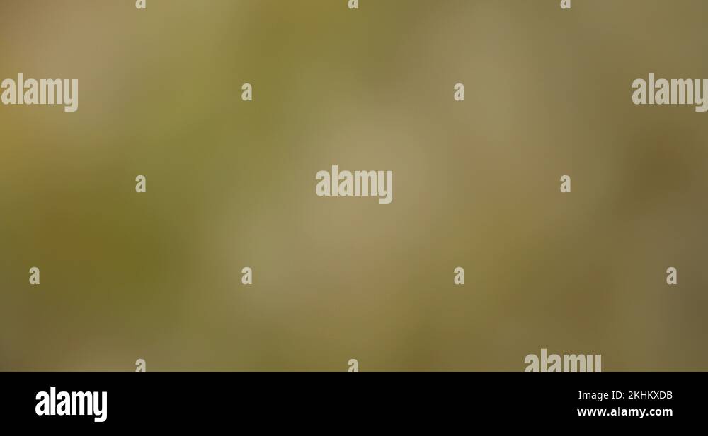 Grain skin Stock Videos & Footage - HD and 4K Video Clips - Alamy