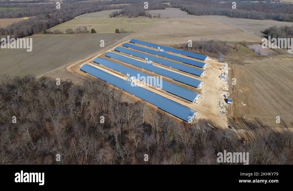 Poultry farm america Stock Videos & Footage - HD and 4K Video Clips - Alamy