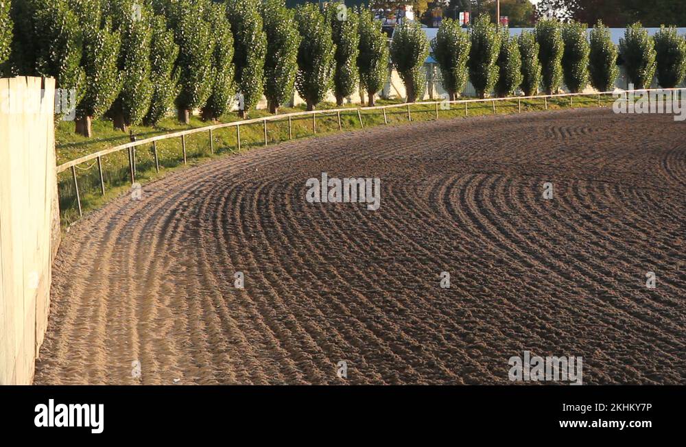 Horse corner Stock Videos & Footage - HD and 4K Video Clips - Alamy