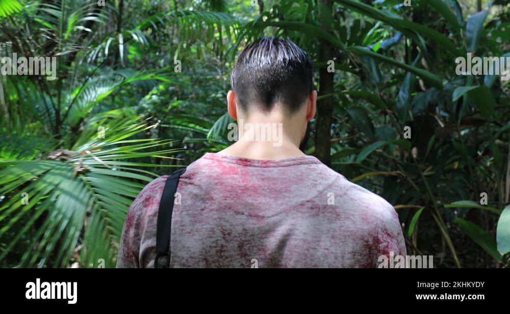 Man walking in jungle. Back of a person back in tropical environment ...