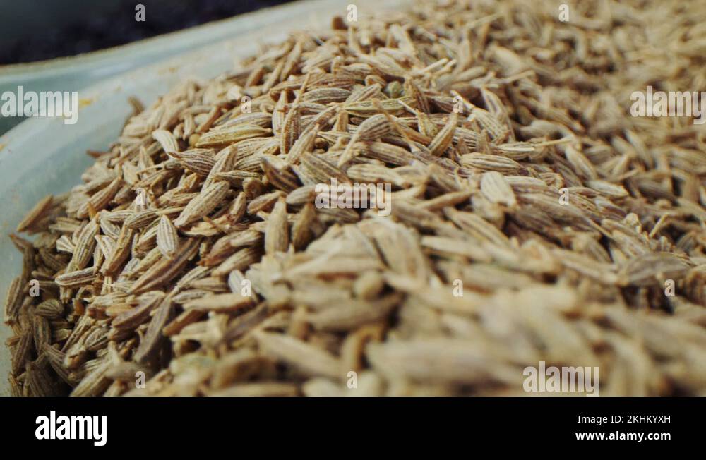 Jeera seed Stock Videos & Footage - HD and 4K Video Clips - Alamy