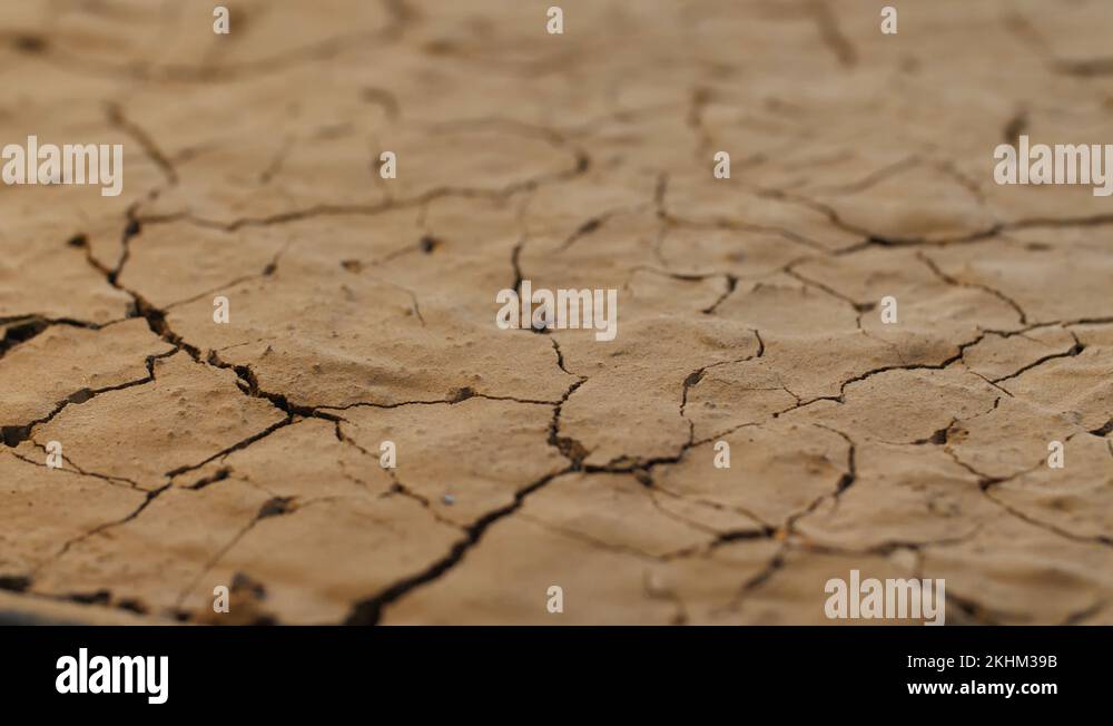 Sun dried earth Stock Videos & Footage - HD and 4K Video Clips - Alamy