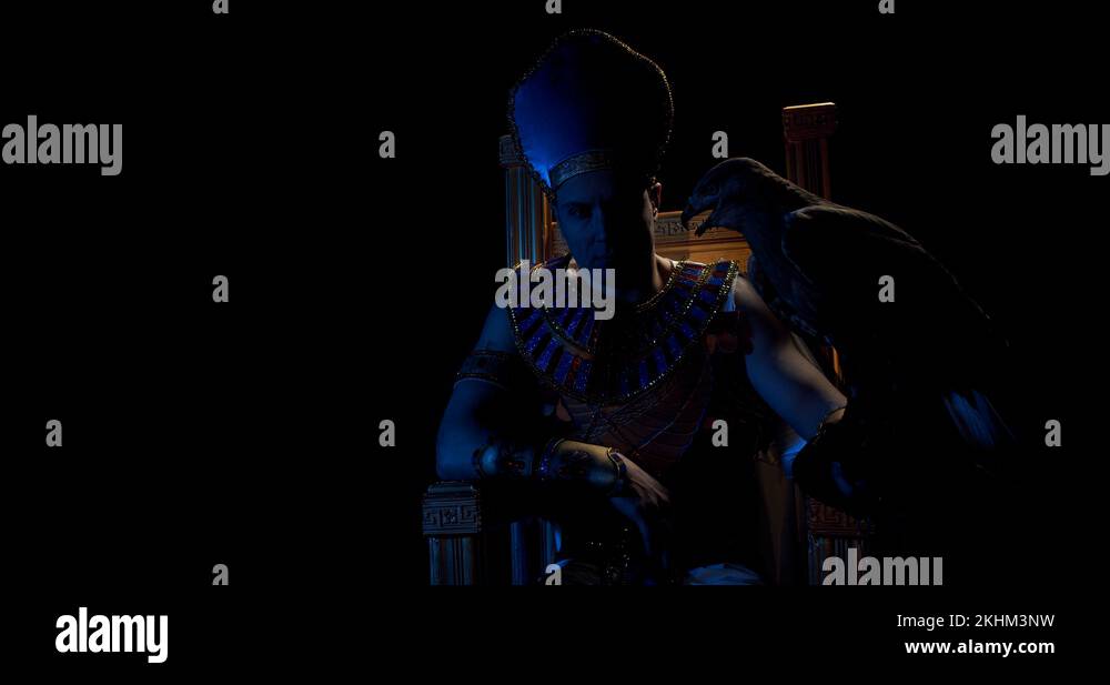 Pharaoh is lifting his hand up with a wild hawk on it, sitting on a ...