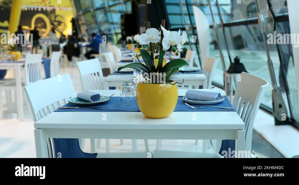 White tables Stock Videos & Footage - HD and 4K Video Clips - Alamy