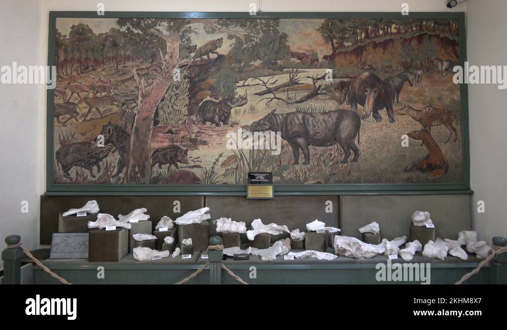 Ancient extinct animals Stock Videos & Footage - HD and 4K Video Clips ...