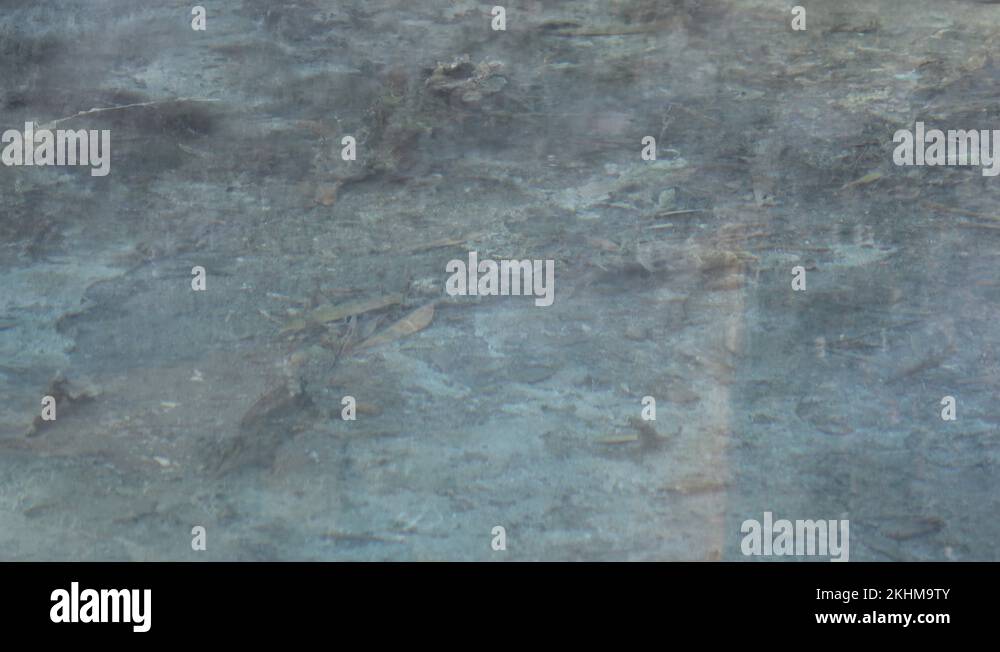 Spooky reflection water Stock Videos & Footage - HD and 4K Video Clips ...