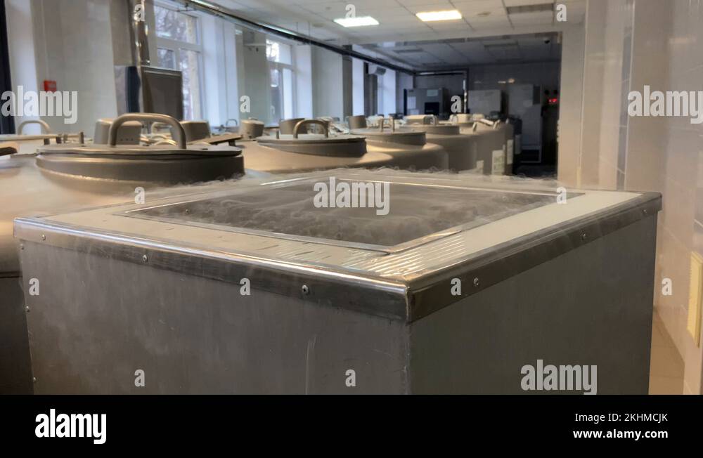 Cryogenic laboratory. Containers with frozen stem cells inside Stock ...