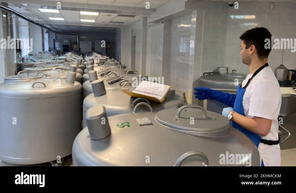 Cryogenic laboratory. Frozen stem cells in containers with nitrogen ...