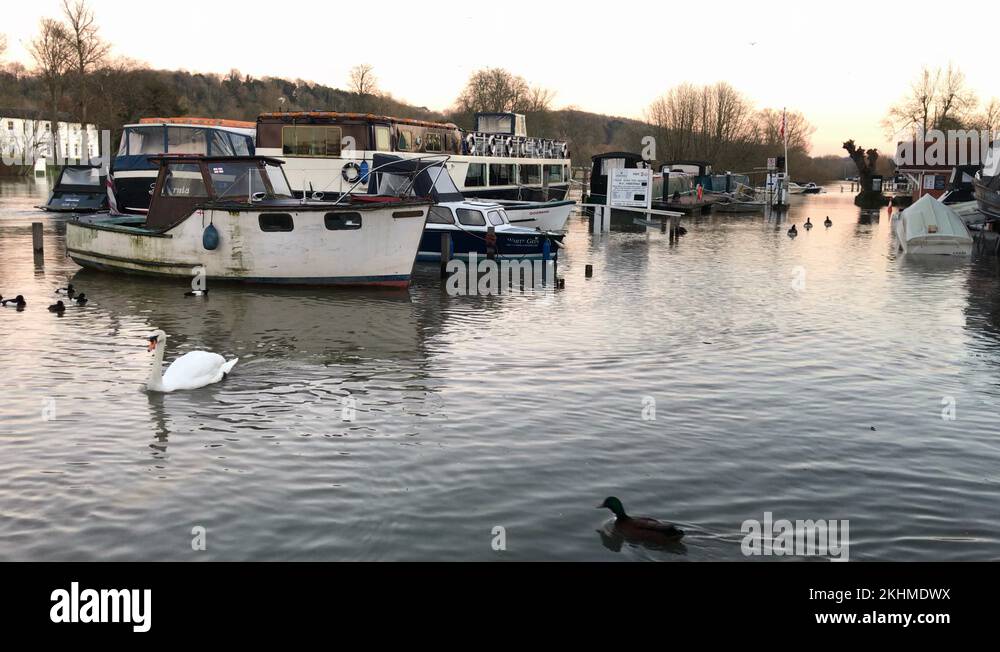 Pavement england Stock Videos & Footage - HD and 4K Video Clips - Alamy