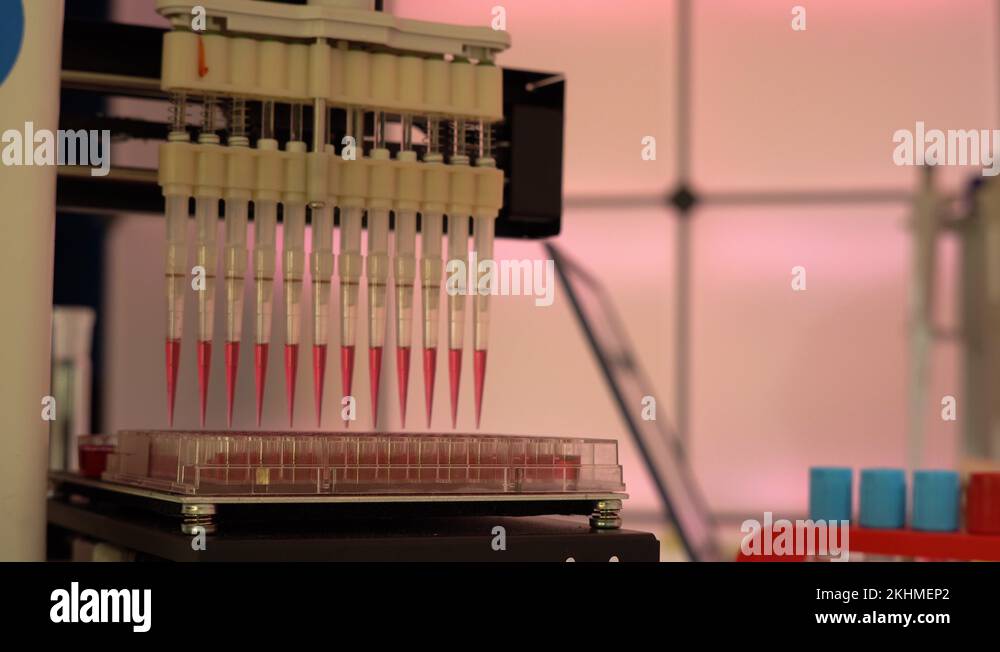 PCR robot in a reproductive medicine laboratory. Female laboratory ...