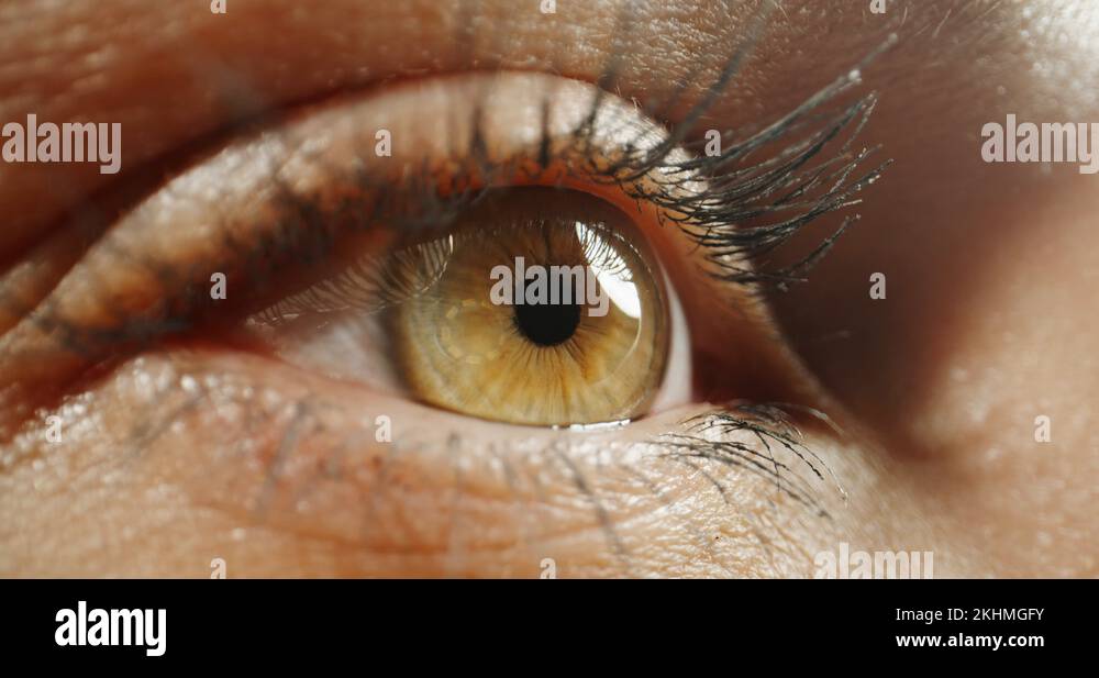 Beautiful Female eye with green iris and makeup looking around and ...