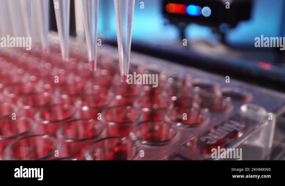 Automated DNA Processor real-time PCR cycler. PCR robotic machine for ...