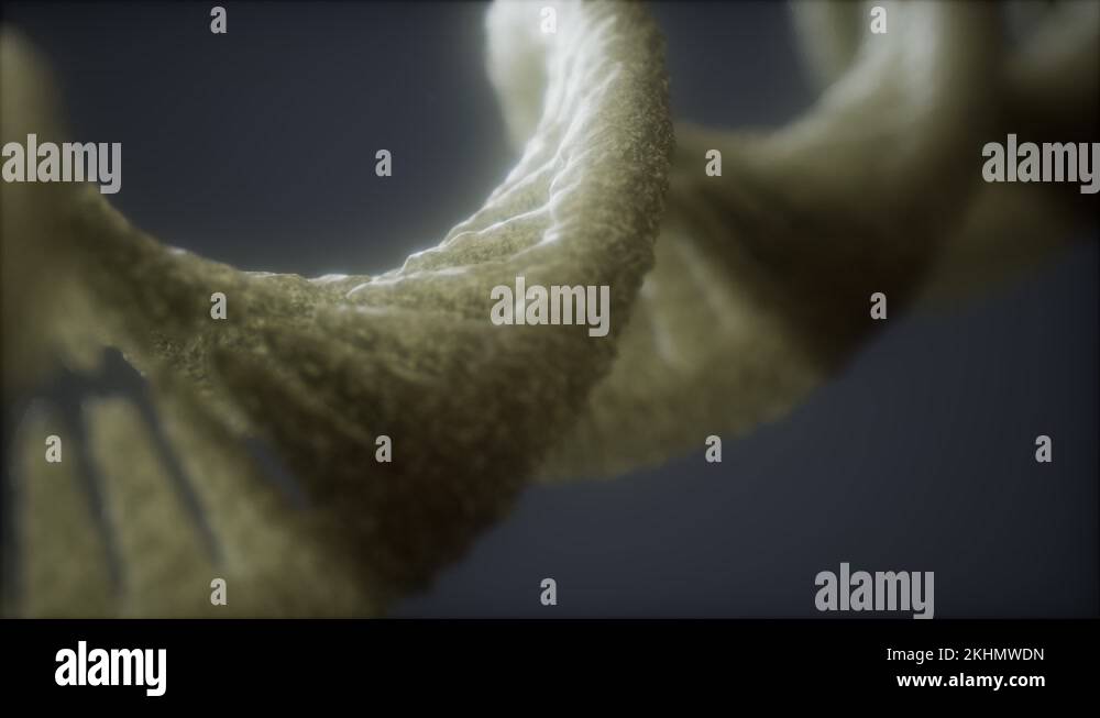 loopable structure of the DNA double helix animation Stock Video ...
