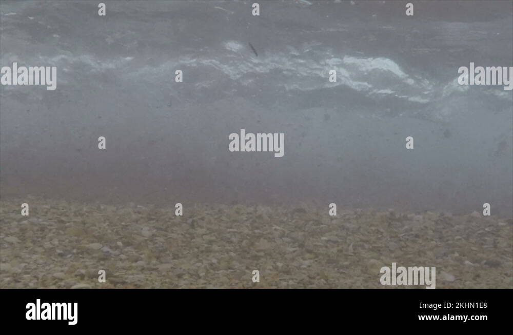 Wave lift Stock Videos & Footage - HD and 4K Video Clips - Alamy