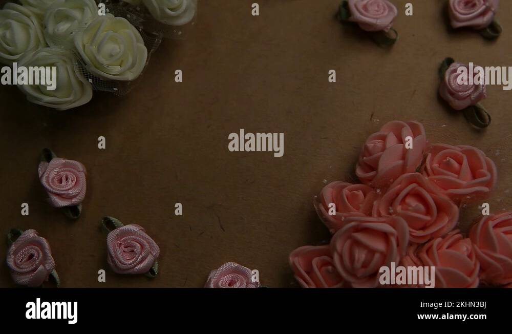 Parchment rose Stock Videos & Footage - HD and 4K Video Clips - Alamy