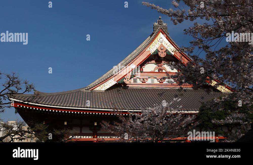 Sensoji Temple in Tokyo, Japan, Asakusa Kannon Temple, Cherry Tree ...