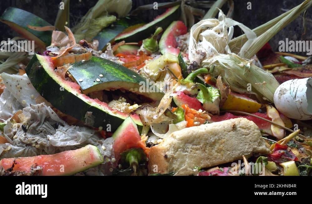 Waste food fruit Stock Videos & Footage - HD and 4K Video Clips - Alamy