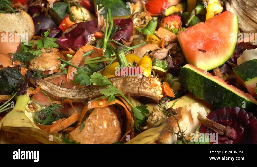 Waste digestion Stock Videos & Footage - HD and 4K Video Clips - Alamy
