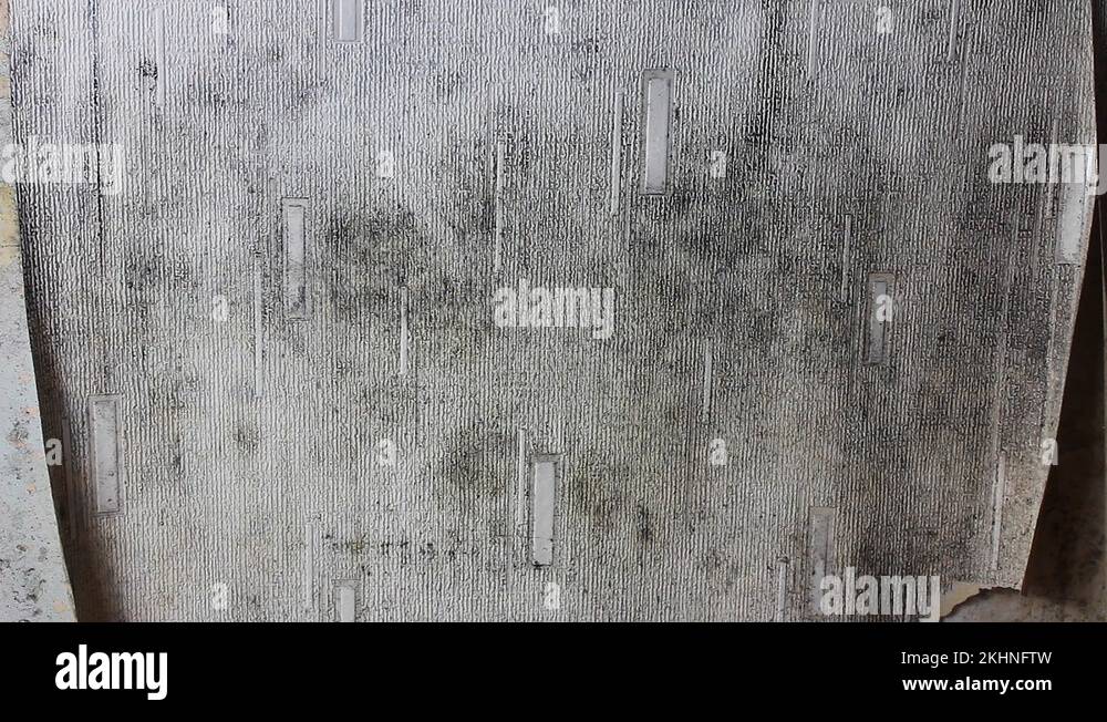 Damp house wall Stock Videos & Footage - HD and 4K Video Clips - Alamy