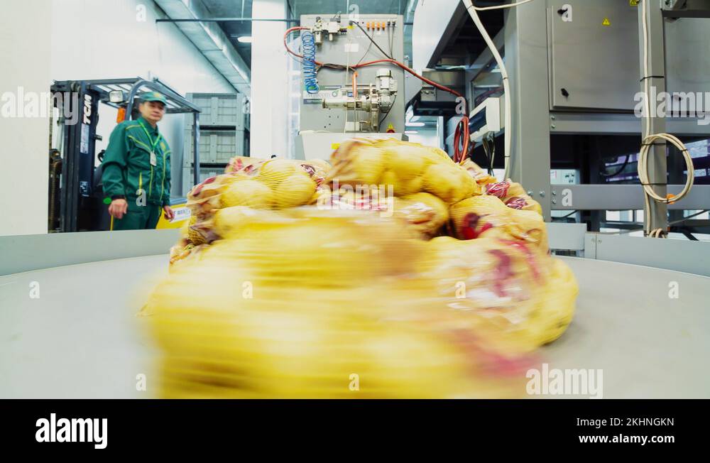 Mesh potato Stock Videos & Footage - HD and 4K Video Clips - Alamy
