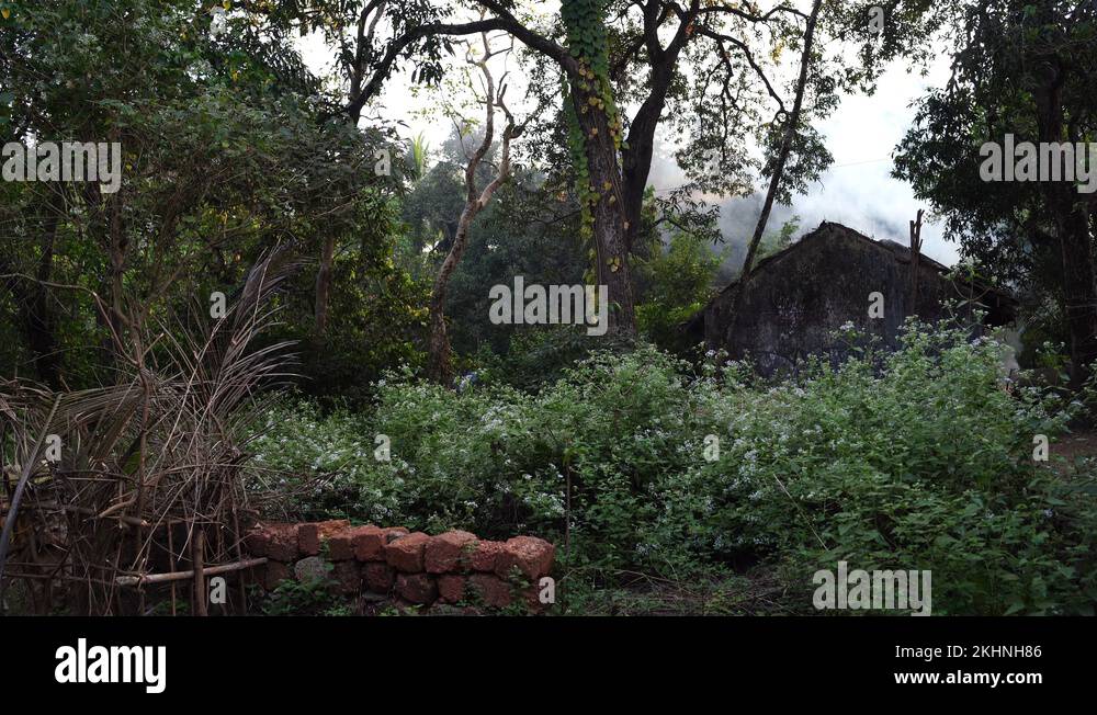 A house burns in the forest, fire. A cottage is burning in the ...