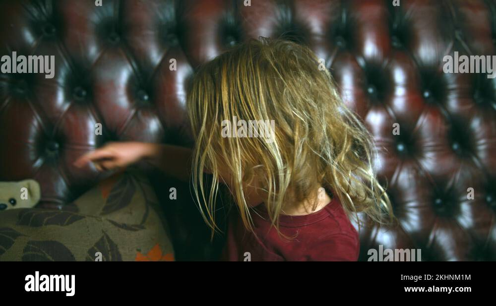 Teddy bear hiding Stock Videos & Footage - HD and 4K Video Clips - Alamy