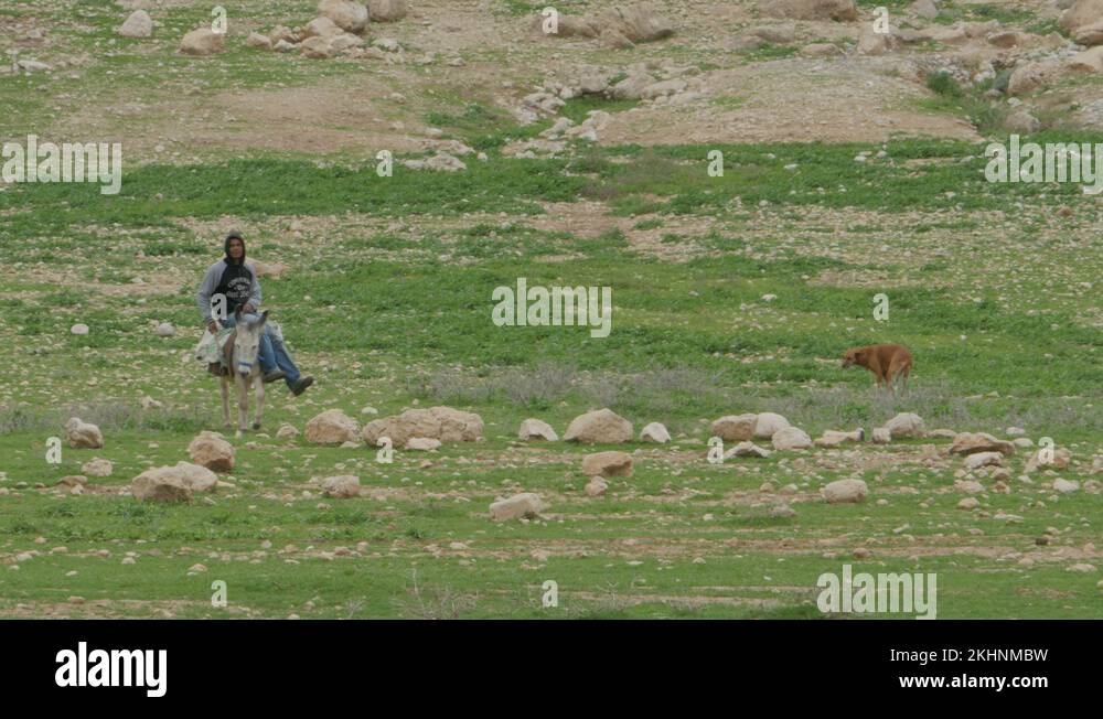 [a boy riding donkey Stock Videos & Footage - HD and 4K Video Clips - Alamy