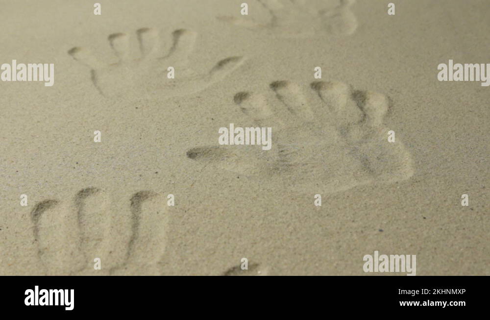 Imprint of many human hands on the sand, as background, Zoom Stock ...