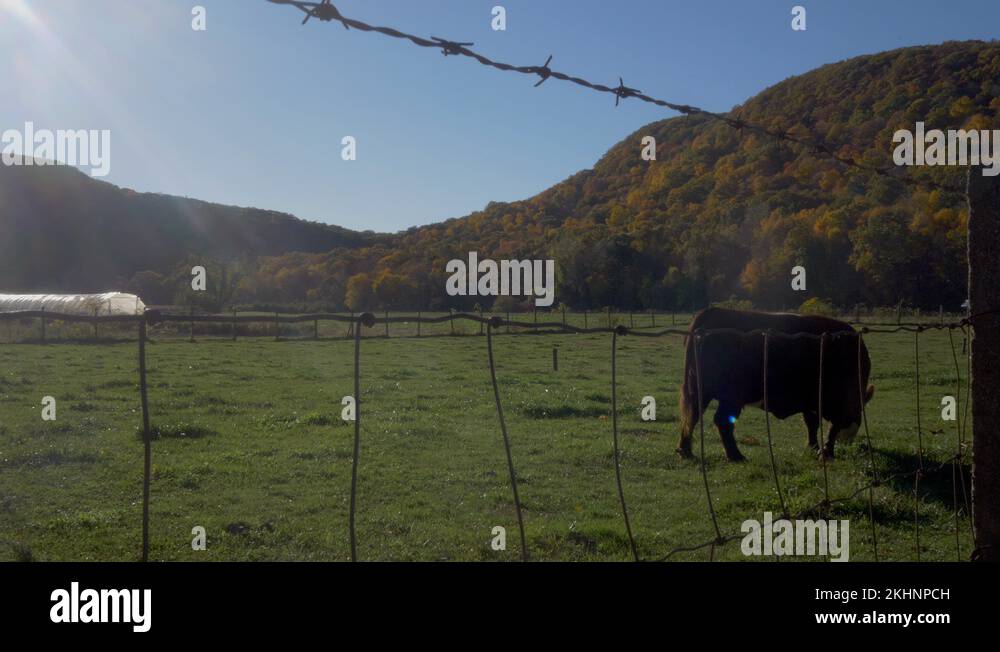 Barbed wire tractor Stock Videos & Footage - HD and 4K Video Clips - Alamy