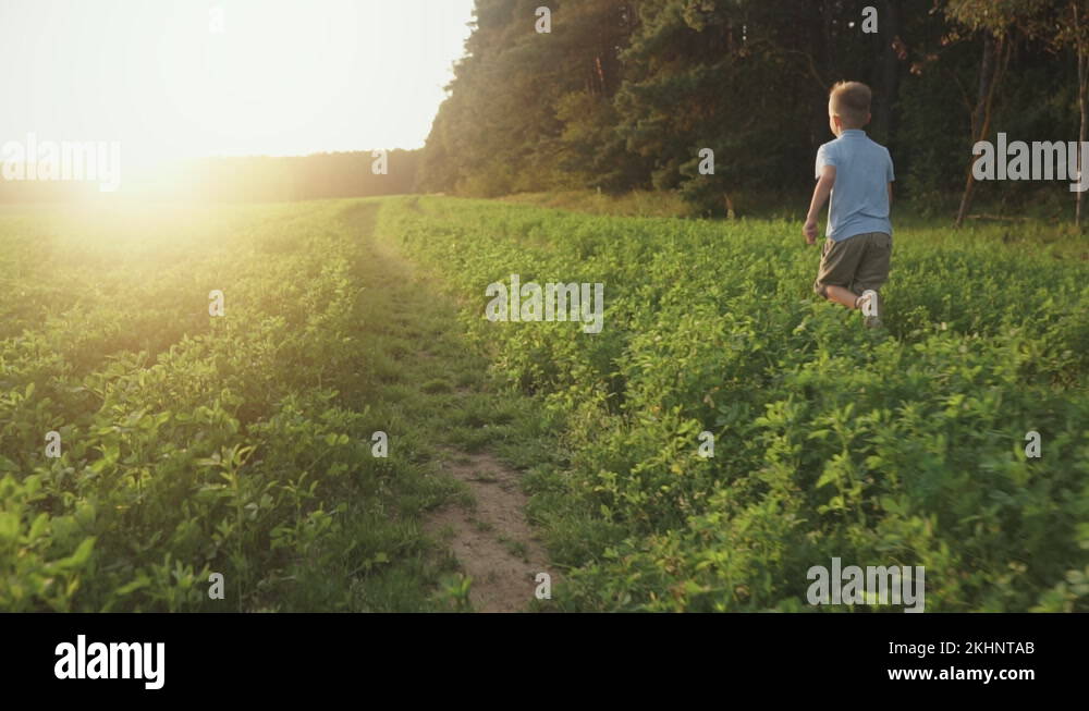 Boy runs across field sunset Stock Videos & Footage - HD and 4K Video ...