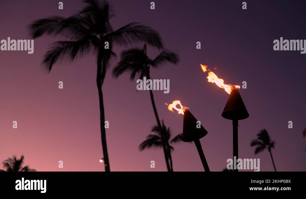 Fire flames in palm Stock Videos & Footage - HD and 4K Video Clips - Alamy