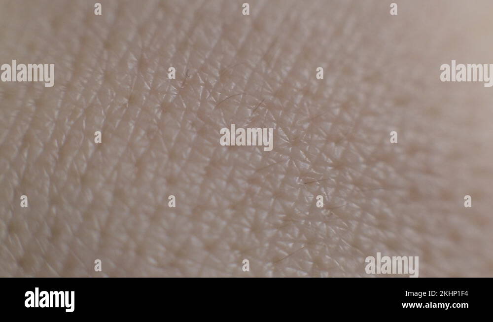 Porous background Stock Videos & Footage - HD and 4K Video Clips - Alamy