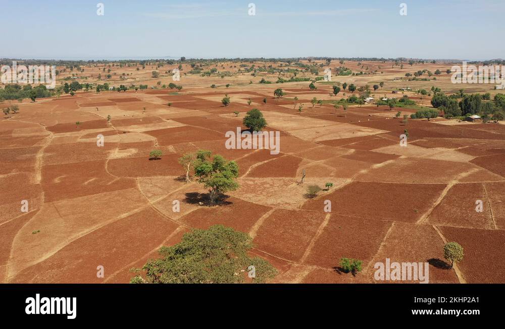 Poor crop over cultivation Stock Videos & Footage - HD and 4K Video ...