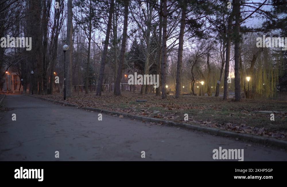 Early morning street lighting Stock Videos & Footage - HD and 4K Video ...