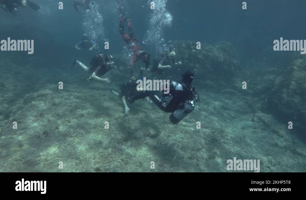A group of scuba divers swim underwater in the first dive Stock Video ...