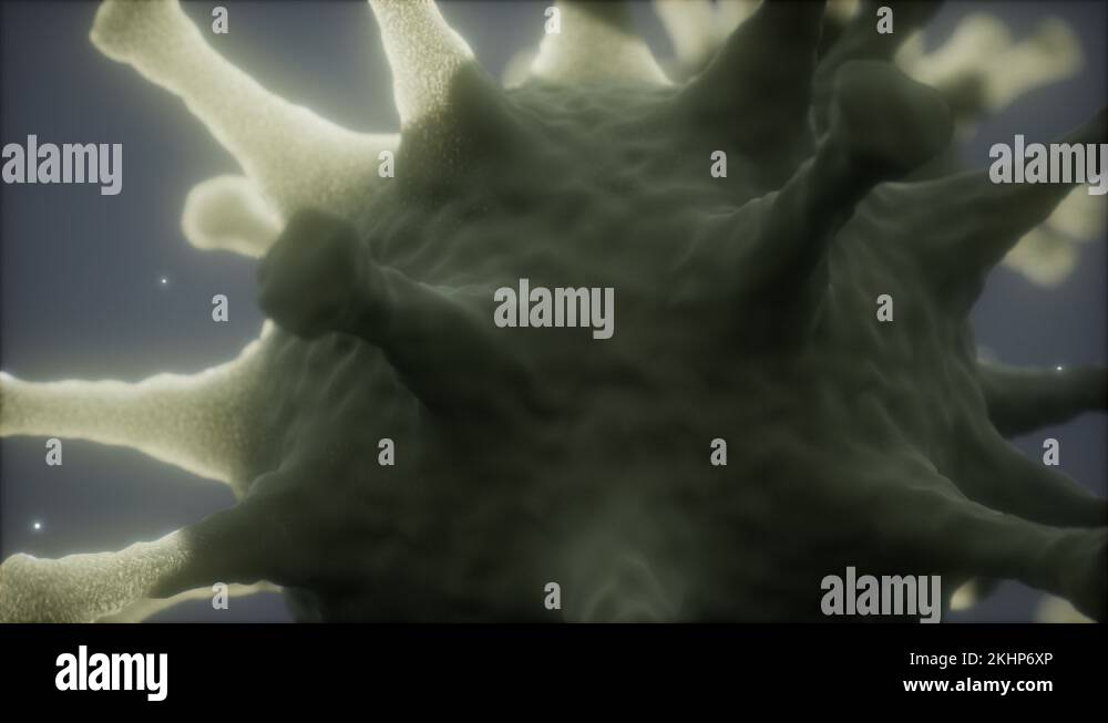 Bacteria virus or germs microorganism cells under microscope with depth ...