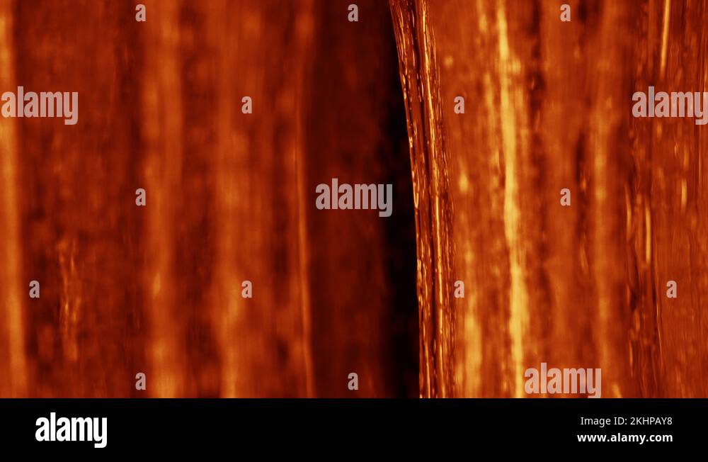 Colored sticky mucus stretches from top to bottom on the dark ...