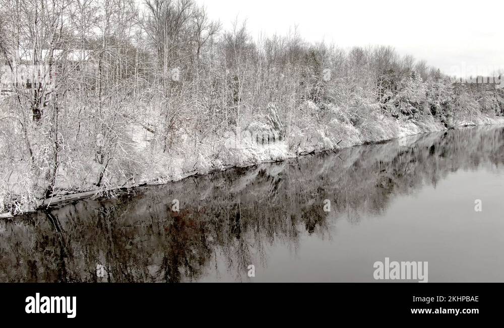 Waters with rivers and nature trees landscape landscape trees Stock ...