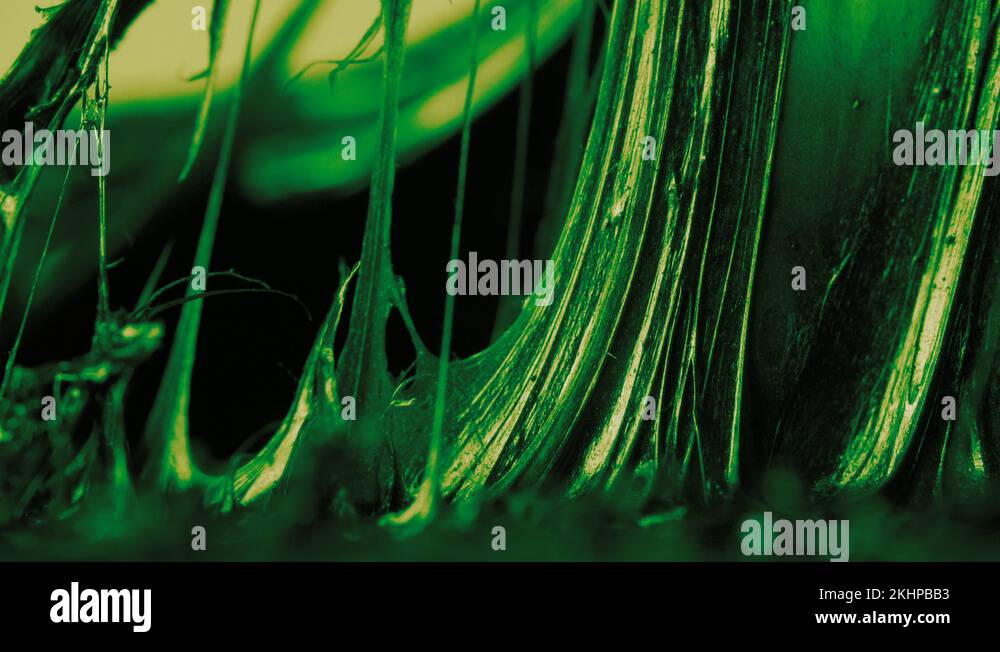 Stretching and rupture of ligaments and tendons during prolonged muscle ...