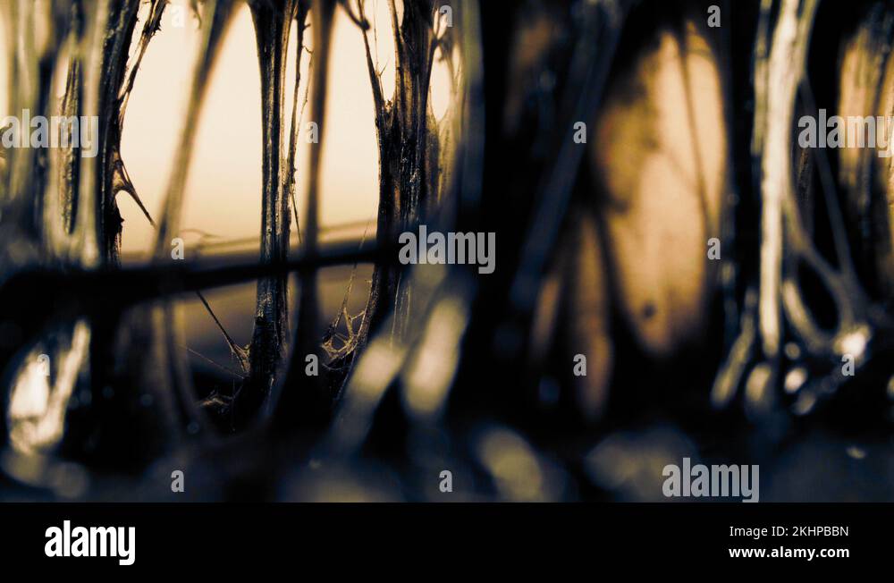 Stretching and rupture of ligaments and tendons during prolonged muscle ...