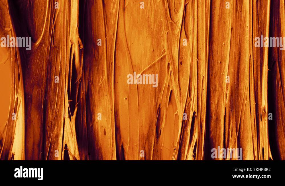 Stretching and rupture of ligaments and tendons during prolonged muscle ...